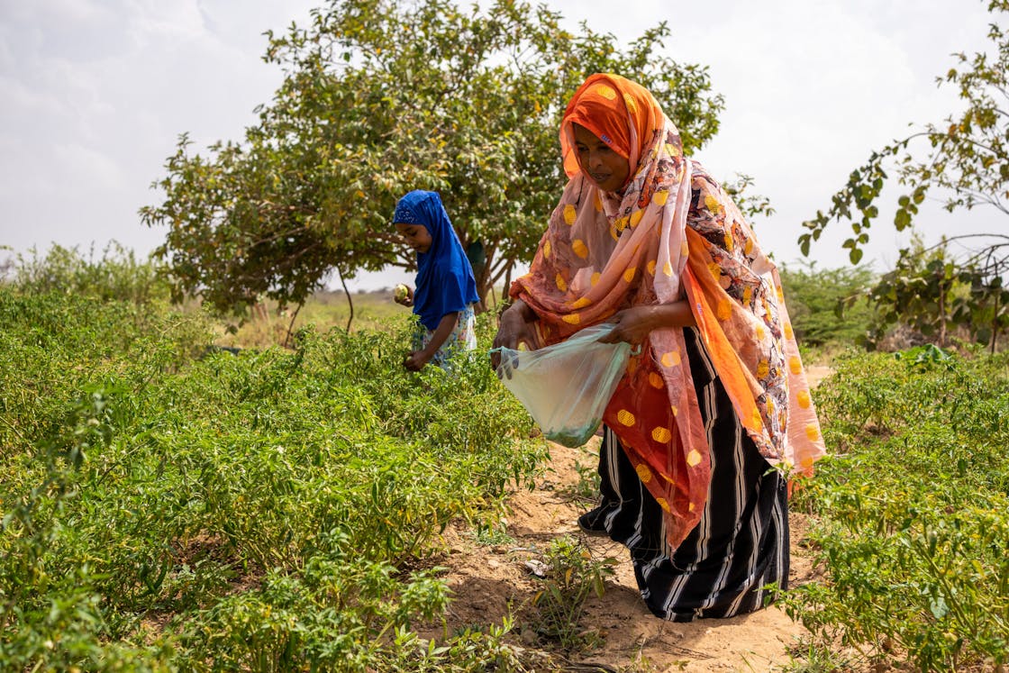 Farhiya's land is uitgedroogd en onvruchtbaar - SOS Kinderdorpen