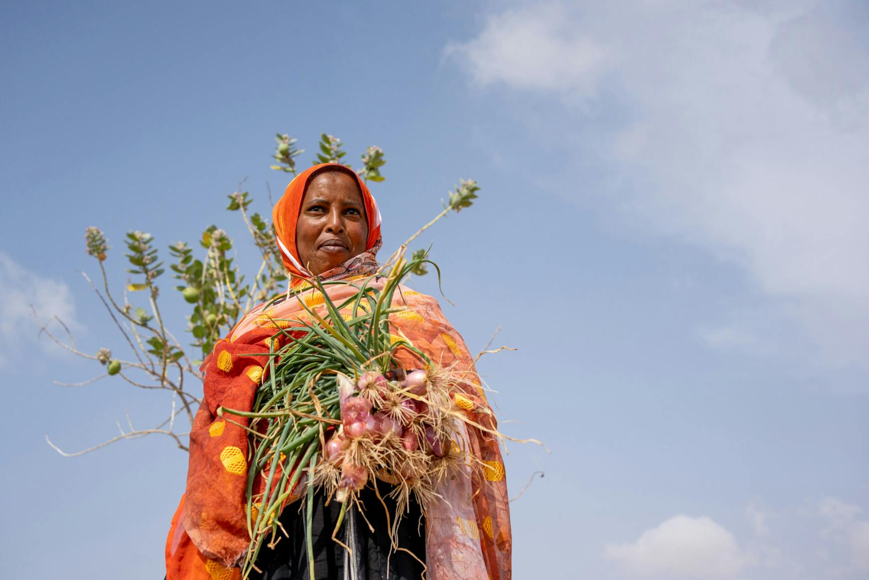 Farhiya's land is uitgedroogd en onvruchtbaar - SOS Kinderdorpen
